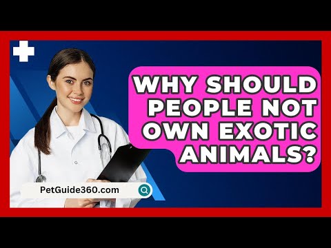 Why Should People Not Own Exotic Animals? - PetGuide360.com