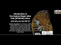 Simon Walker-Samuel | About | University College London