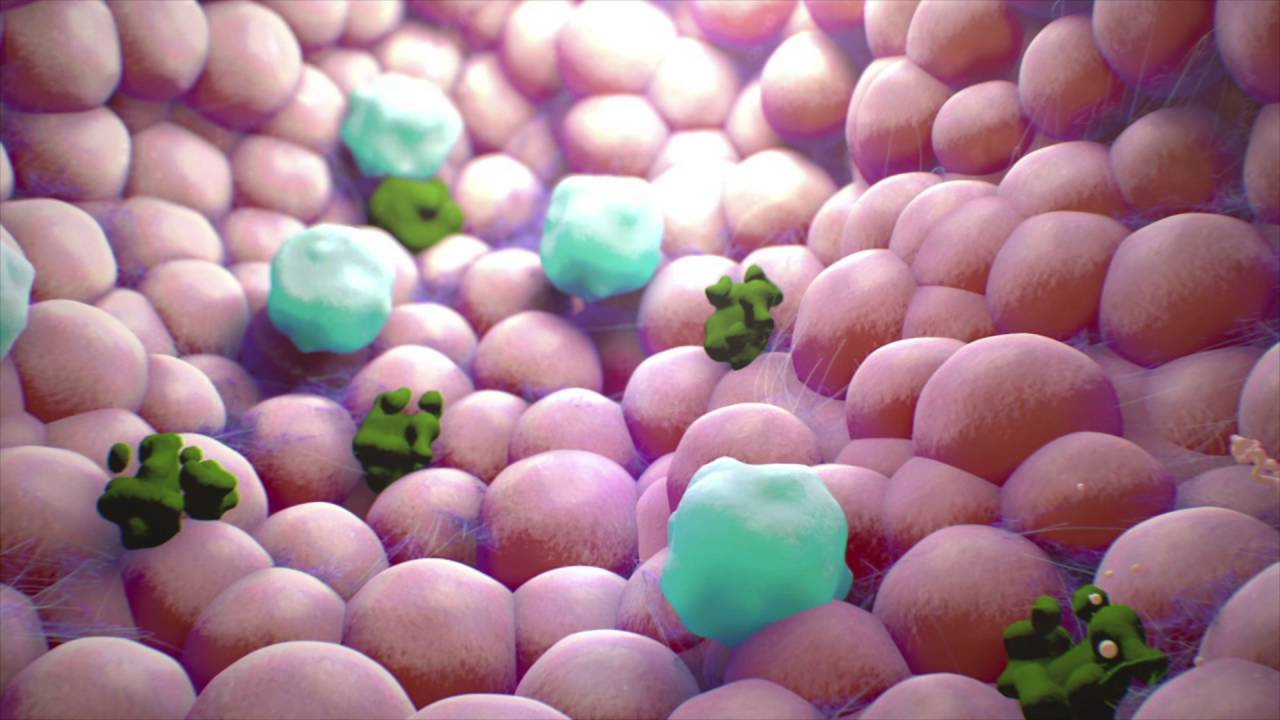 A Visual Introduction to SENS Rejuvenation Research – Fight Aging!