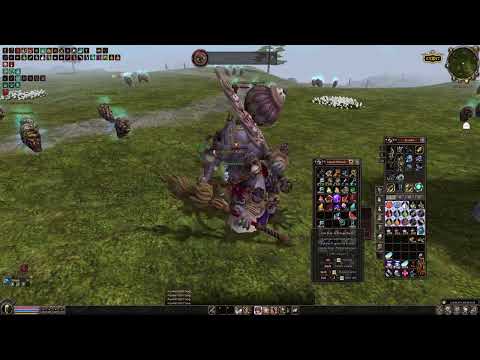 METIN2 ELARIS | BATEM TOTI LIDERI DIN TARAMUL YOHARA III & DESCHIDEM CUFERE BALOANE DE AUR