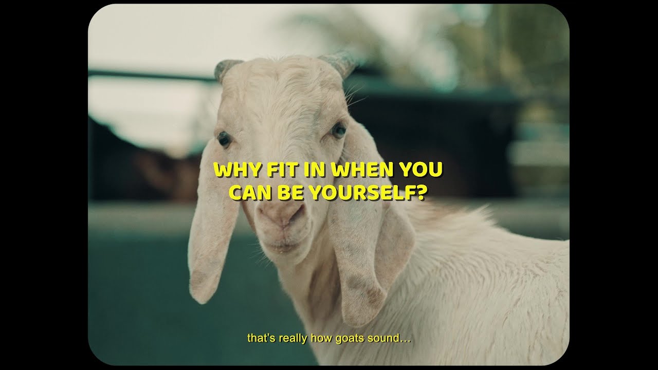 Julie's Goat Videos Bear Important Reminders For When You Feel Meh