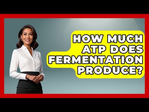 How Much ATP Does Fermentation Produce? - Biology For Everyone