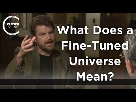 Robin Collins - What Does a Fine-Tuned Universe Mean?