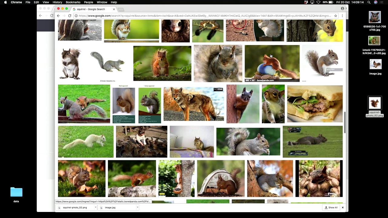 Computer Based Assessment - Testing and Grading with the Wolfram Cloud