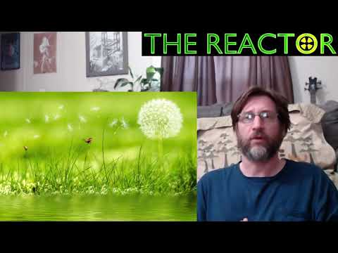 Dandelion poem