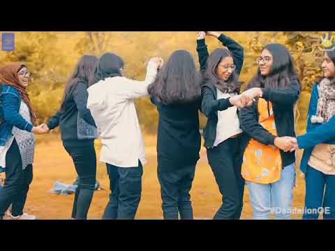 Dandelion OE | Nature Connection & Leadership | Teen Outdoor Experiential Learning