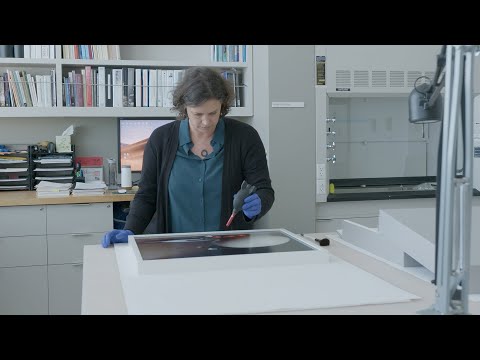Behind the Scenes with a Conservator