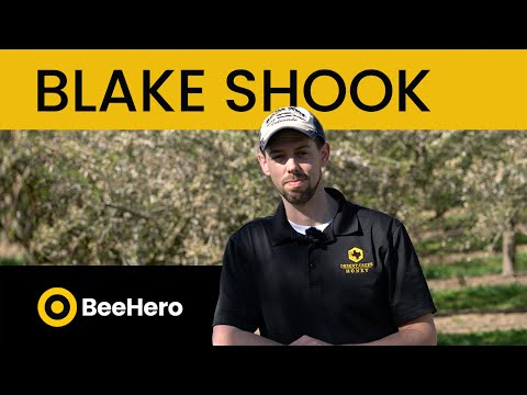 BeeHero - Israeli Startup | Startup Nation Finder