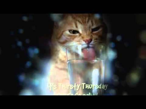 Funny Thursday Quotes