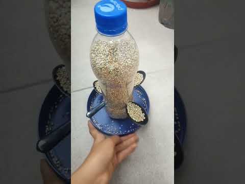 Bird Feeder|Best Out Of Waste