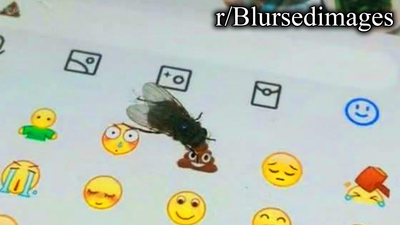 blursed images from reddit