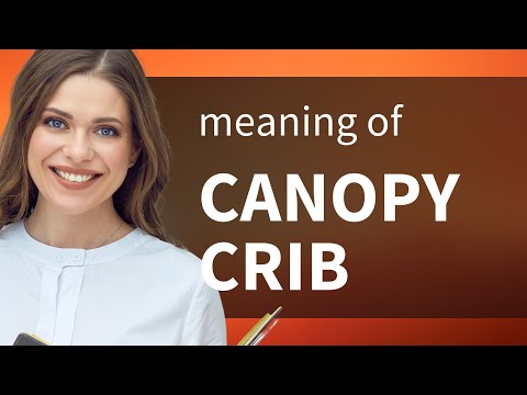 Understanding "Canopy Crib": A Guide for English Language Learners