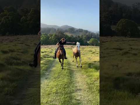 My favourite thing to do in the world 🤩 #horseriding #gallop #libertyhorse #australia #equestrian