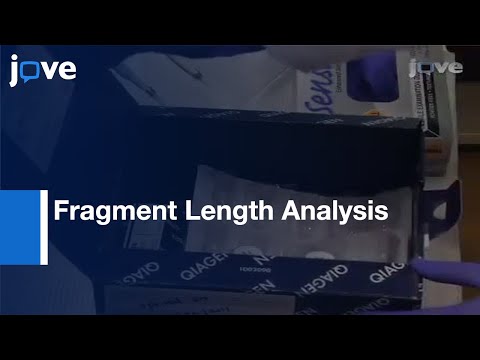DNA Fingerprinting: Mycobacterium leprae Strains By VNTR l Protocol Preview