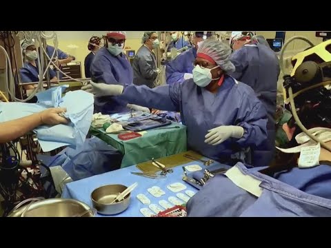 How will system revamps of organ procurement groups help those waiting for organs? | NewsNation Live