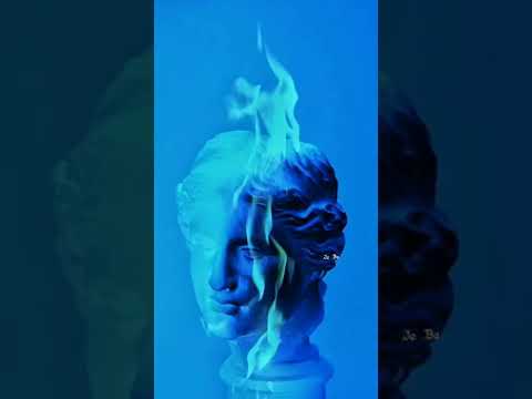 colors Halsey