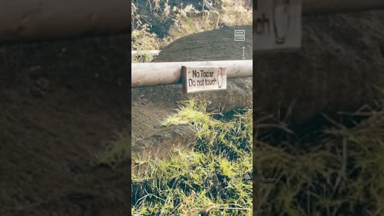 Fire Causes 'Irreparable' Damage to Easter Island's Moai Statues