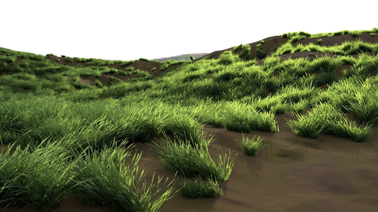 3D Environments: Grass in Maya / Renderman