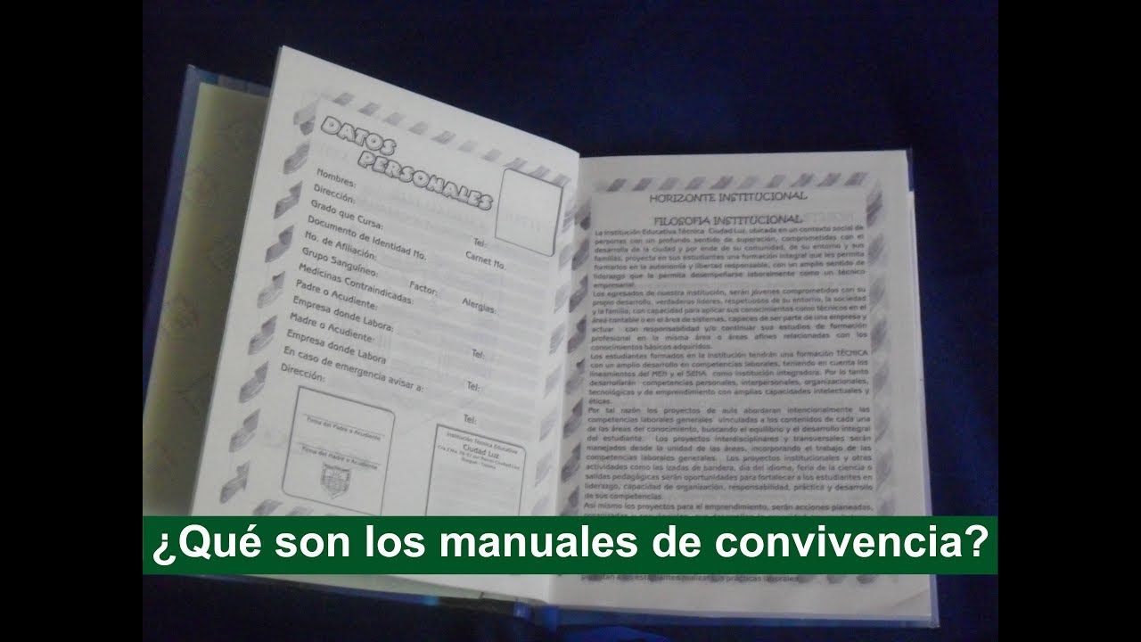 ¿Qué son los manuales de convivencia?