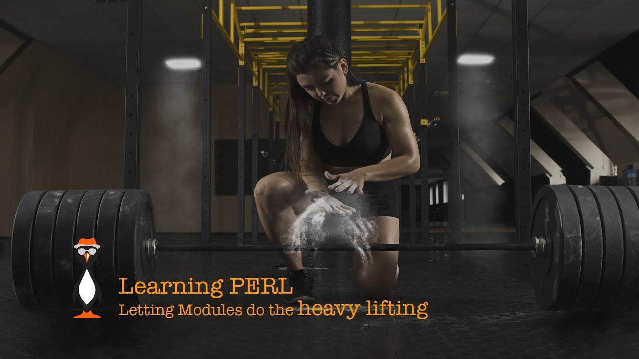 Using Modules in Perl to Format Numbers
