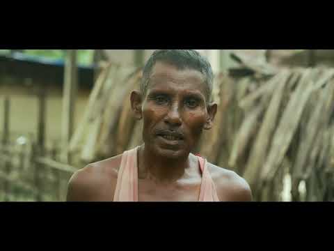 Living Tongues teams up with Shure for “No Voice Left Behind” campaign ...