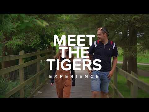 Meet the Tigers at Whipsnade Zoo