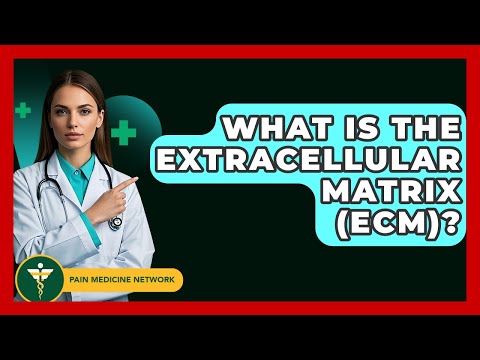 What Is The Extracellular Matrix (ECM)? - Pain Medicine Network