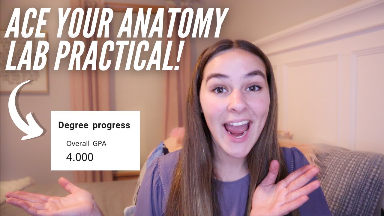 how to ACE your anatomy lab practical *update*