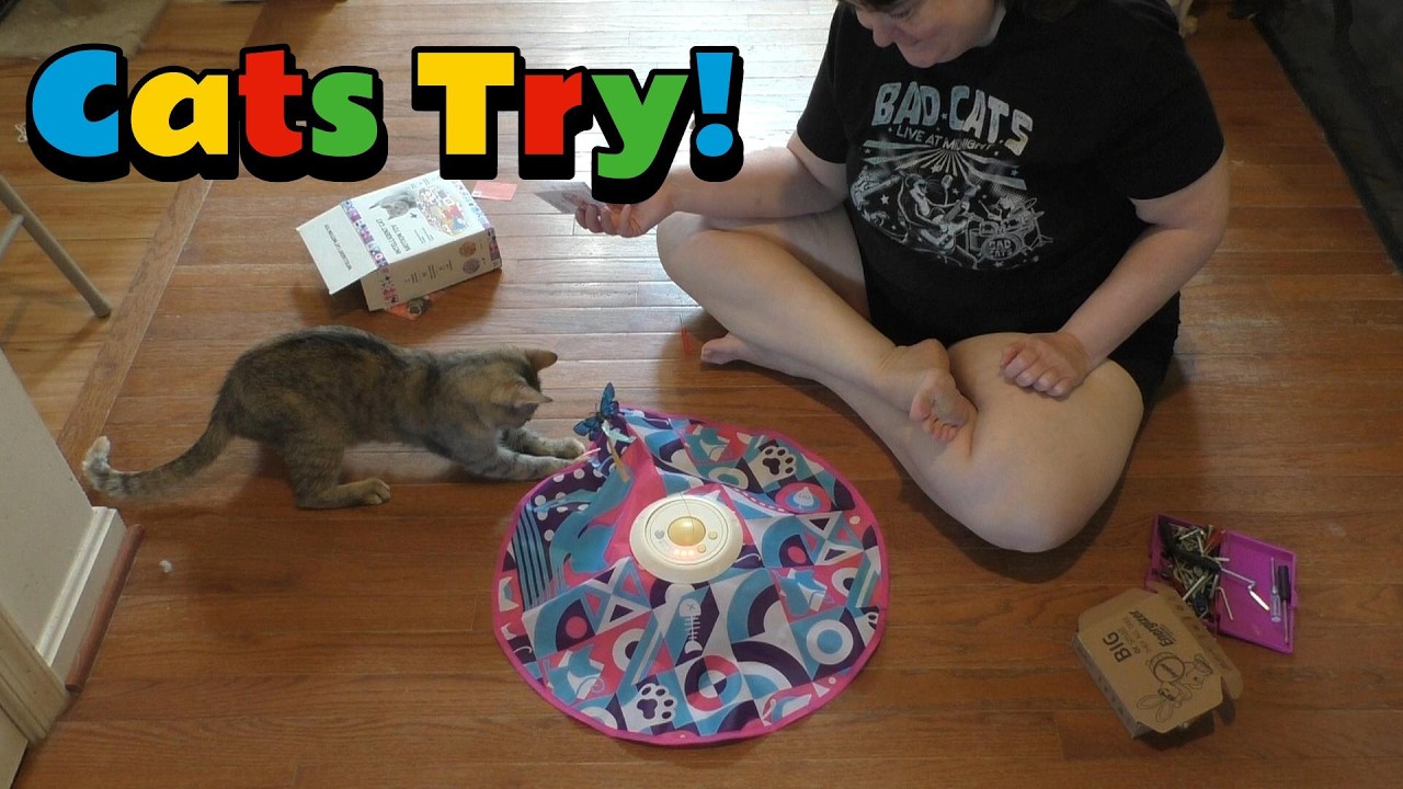 Cats Try Inteligent Cat Motion Toy! 😻
