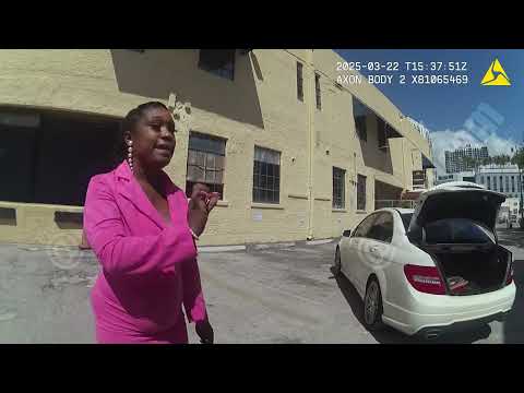 Black Female Lawyer Vs Arrogant Cop