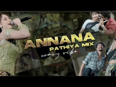 🎧 Annana Pathiya Mix – MSKvibeX | Vibe Remix 2025 🎧