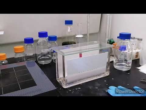 TLC Plates - Thin-layer chromatography Plates Latest Price ...
