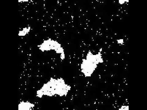 Ising Model Metropolis Hastings Algorithm 2
