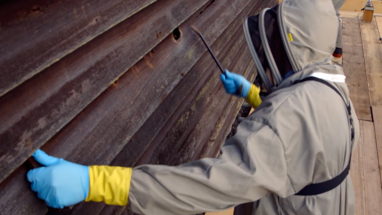 The Ladykillers: Pest Detectives