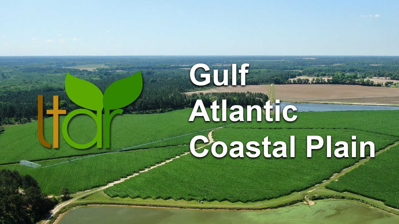 Gulf Atlantic Coastal Plain LTAR Site - Long-Term Agroecosystem Research Network
