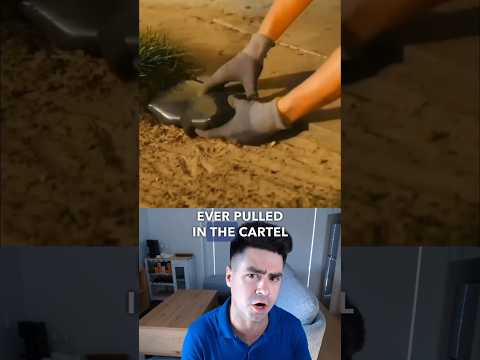 Cartel TikTok: hiding in plain sight