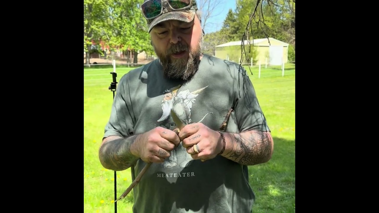 Spruce (pricea spp.) root cordage