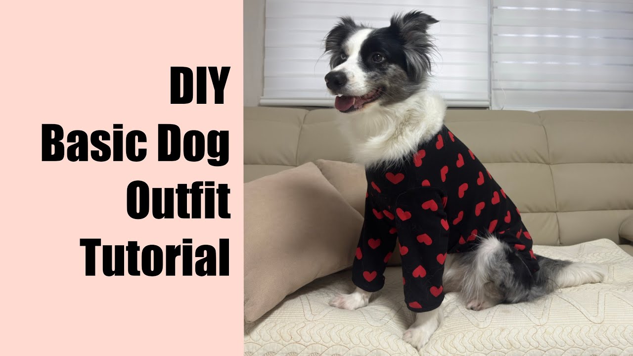 Dog Clothes for Beginner l Easy 3-Piece Basic Outfit