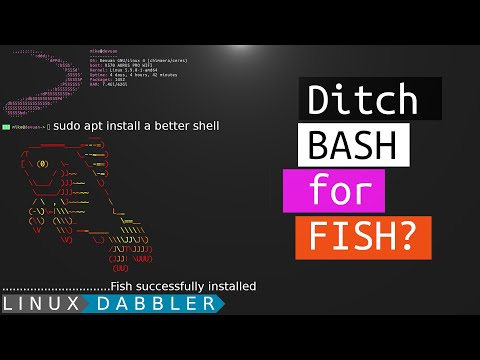 What's so great about the Fish Shell?... I'll tell you...
