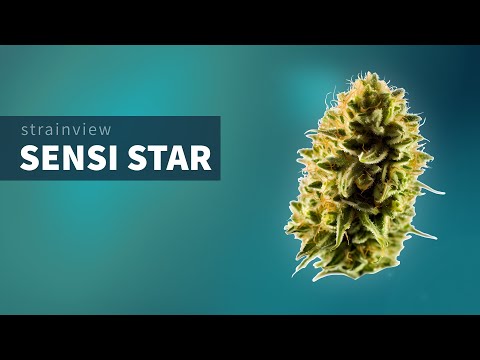 Sensi Star - StrainView