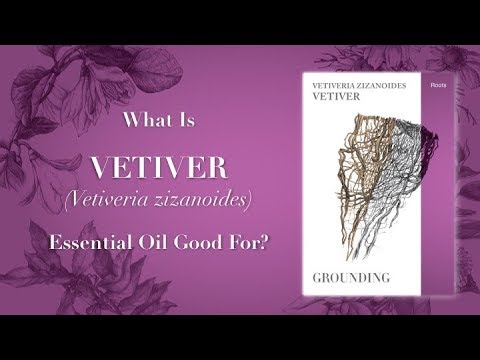 What is Vetiver Essential Oil Good For Video 1 of 2