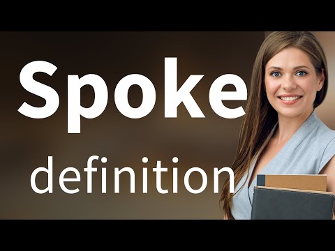 Spoke | meaning of SPOKE