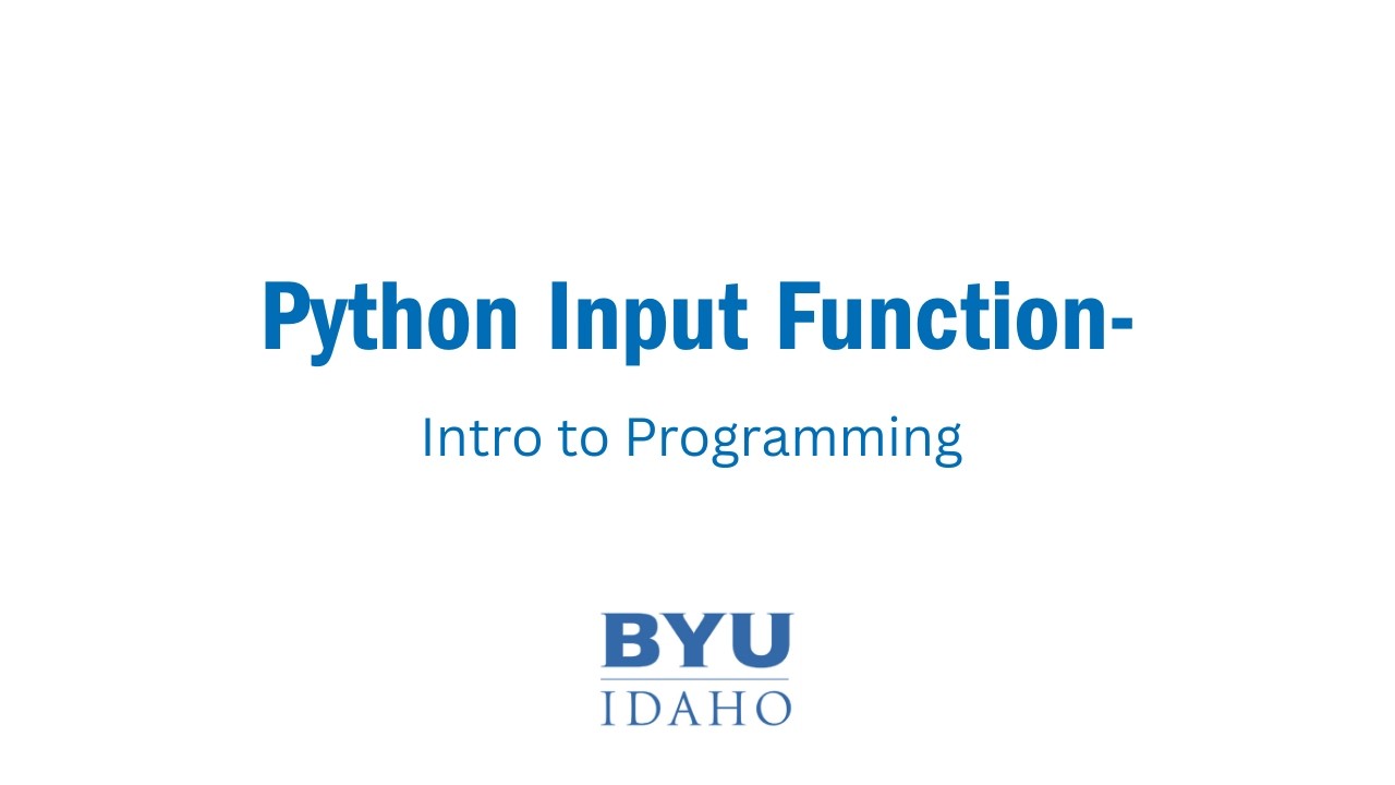 How to Use the Input Function in Python: Get User Data & Build Interactive Apps