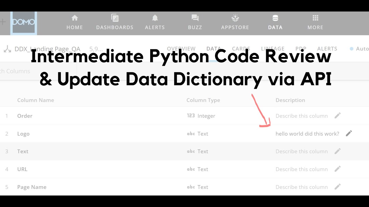 Intermediate Python Code Review - Domo Data Dictionary API