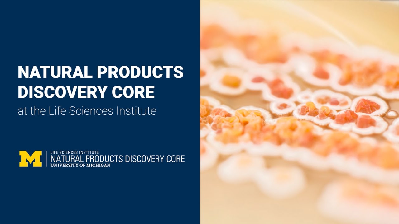 The Natural Products Discovery Core at the U-M Life Sciences Institute
