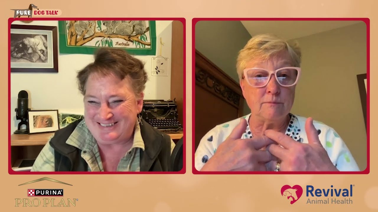 The Tough Decisions That Define a Breeding Program with Dr Marty Greer DVM