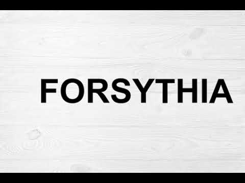 How To Pronounce Forsythia