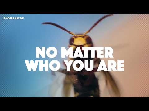 Thomann: Music makes you popular #hornet