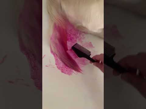 Dyeing my dog’s tail! #servicedog #hairdye