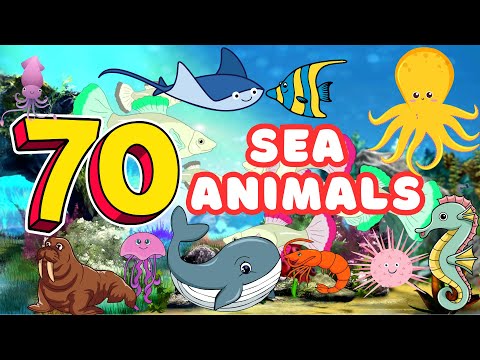70 Cool Sea Animals for Kids | Learn Their Names & Fun Facts!